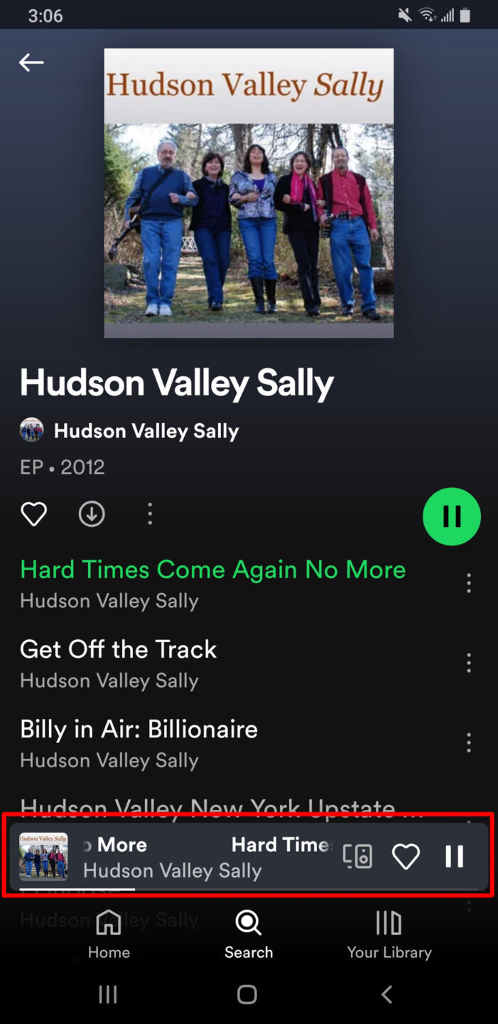 How to view your queue on Spotify - Android Authority