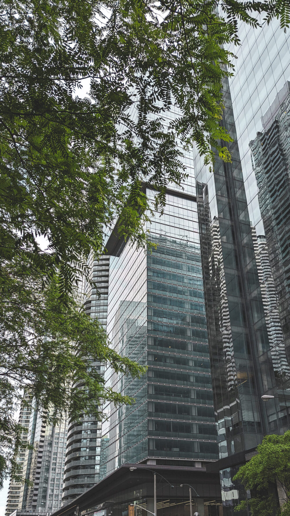 Here are some wallpapers for Pixel phones, taken on Pixel phones ...