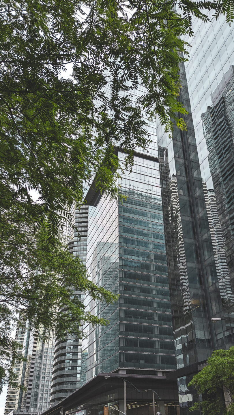 Here are some wallpapers for Pixel phones, taken on Pixel phones ...