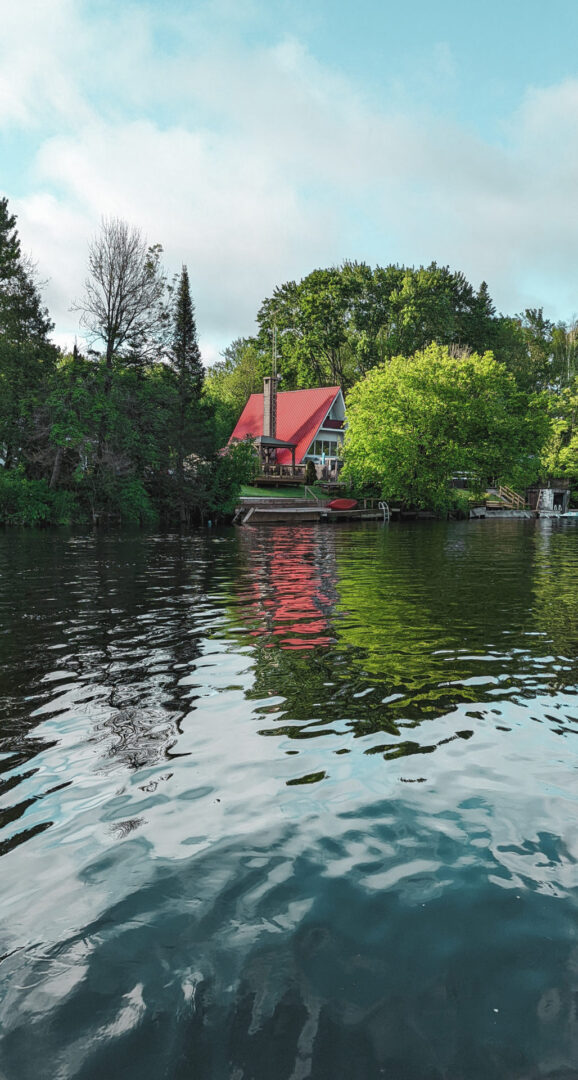 Here are some wallpapers for Pixel phones, taken on Pixel phones ...