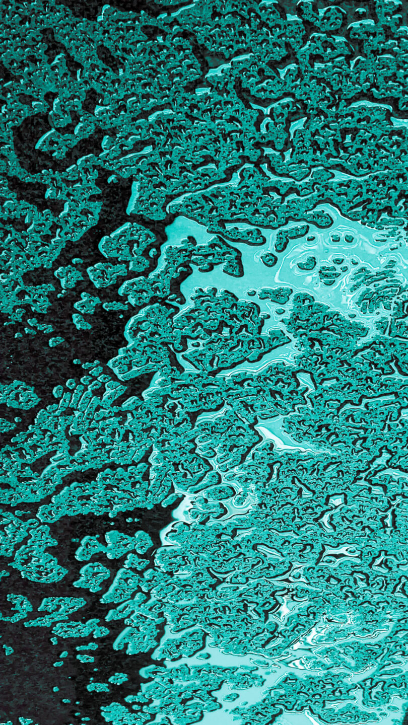 Here are some wallpapers for Pixel phones, taken on Pixel phones ...