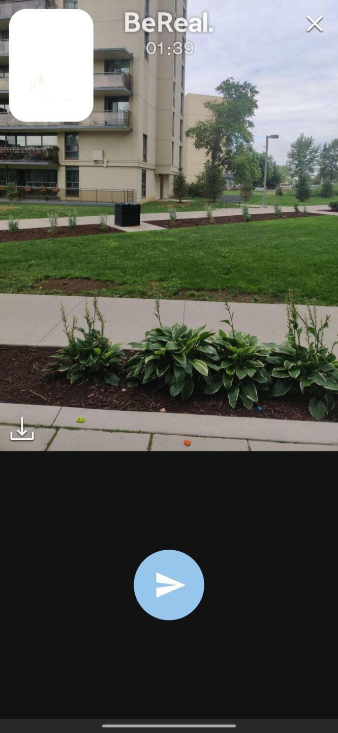 What is BeReal and how to get started with it - Android Authority