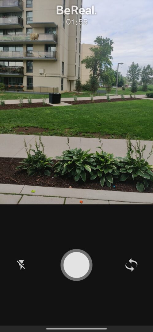 What is BeReal and how to get started with it - Android Authority