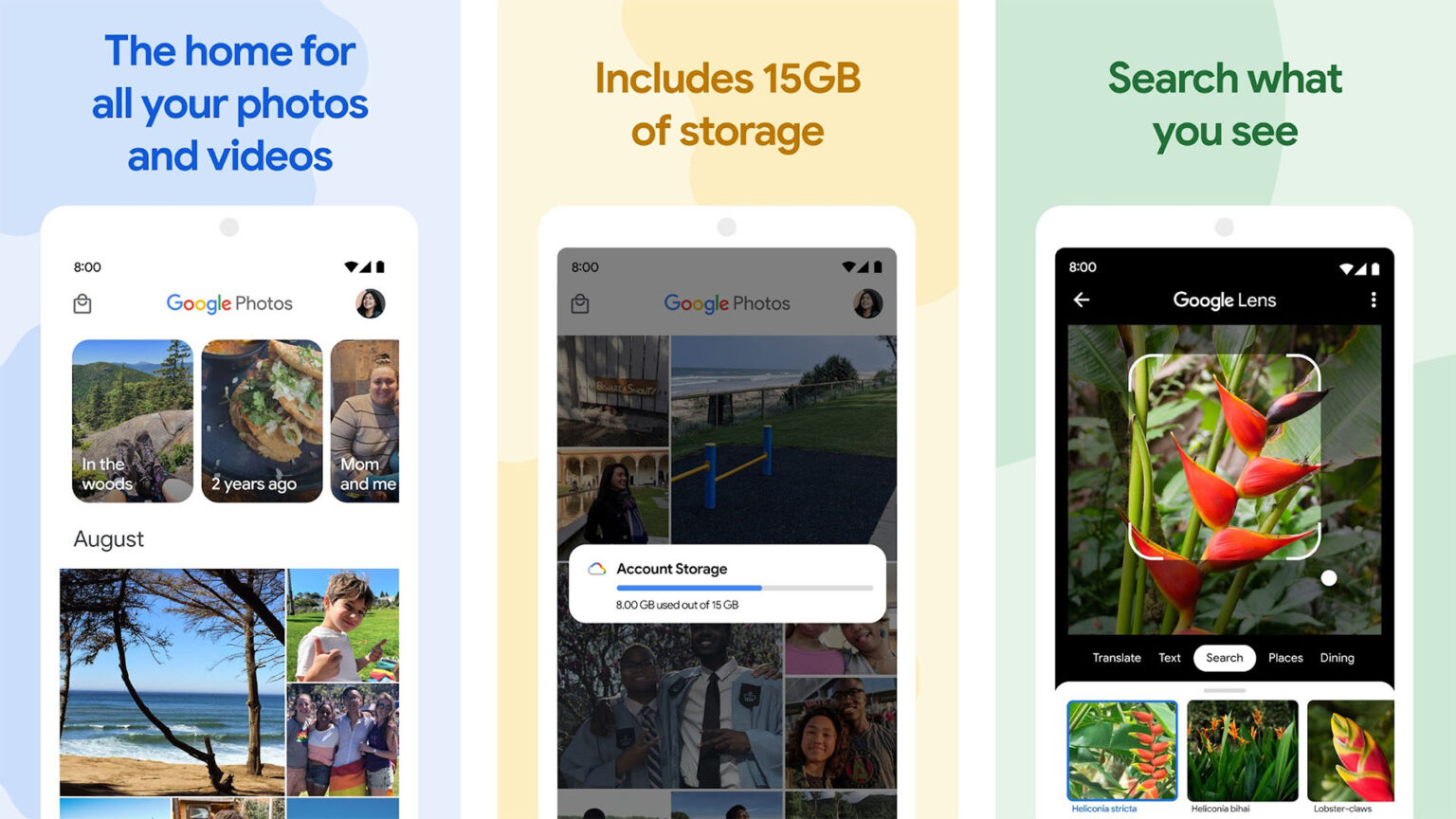 The best gallery apps for Android - Android Authority