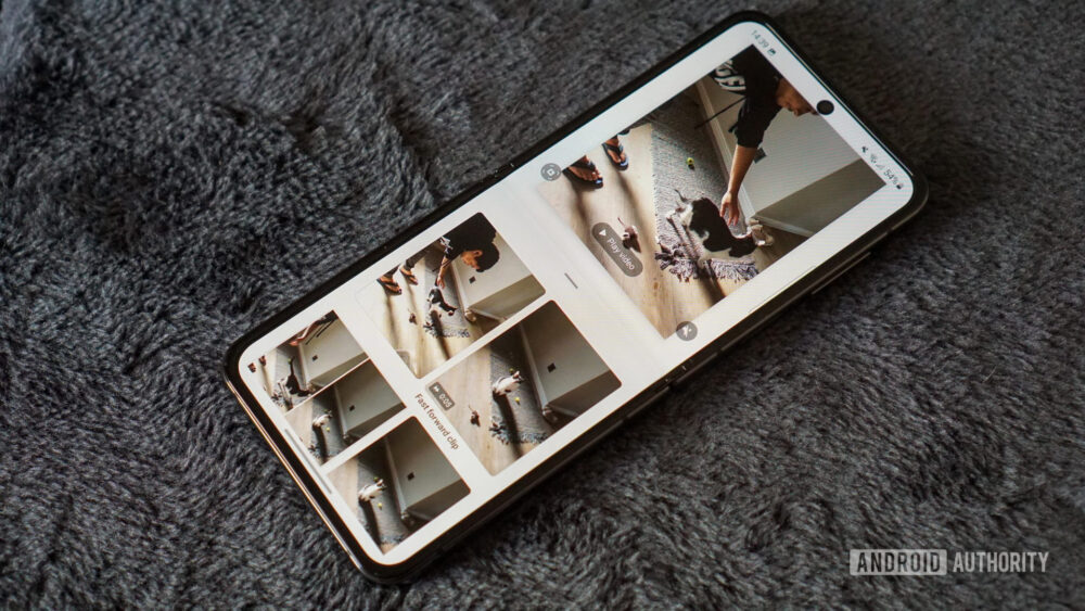 Gather around, pet owners: I found the purr-fect phone for you