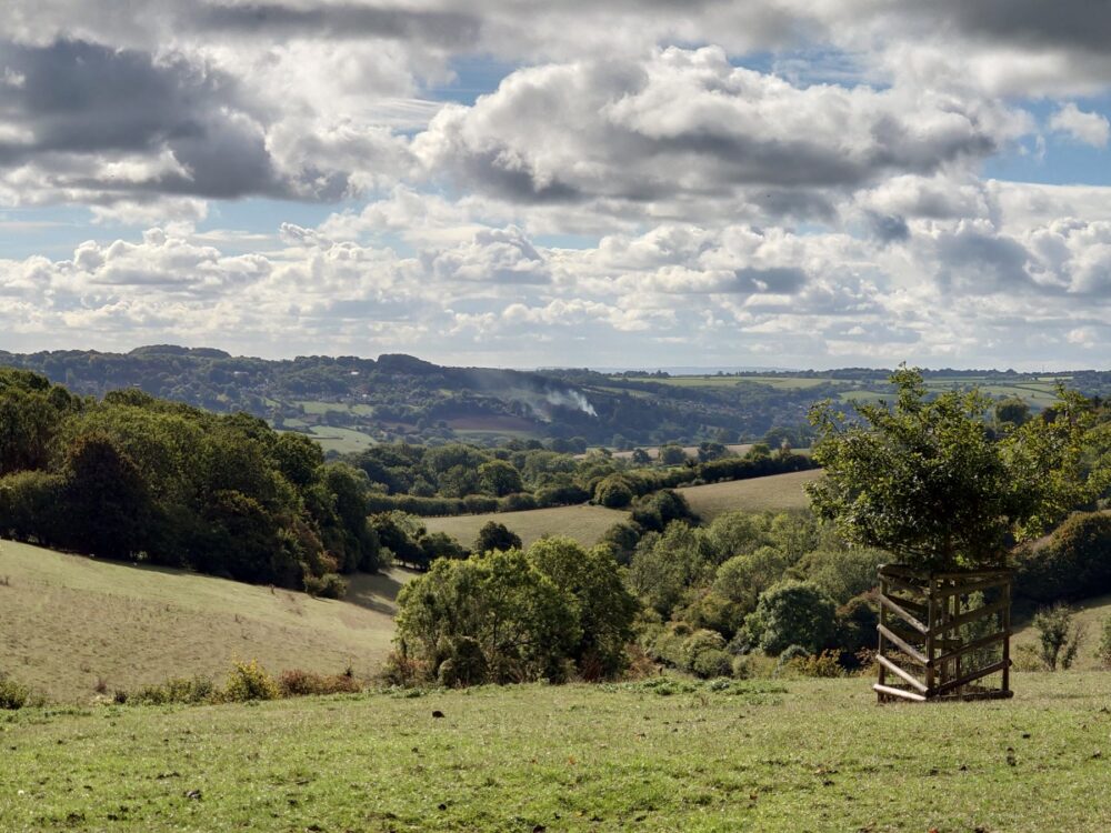 Sony Xperia 5 IV review: Still a pocket photography powerhouse