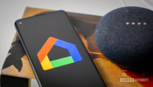 Google Home starts rolling out new Member access feature