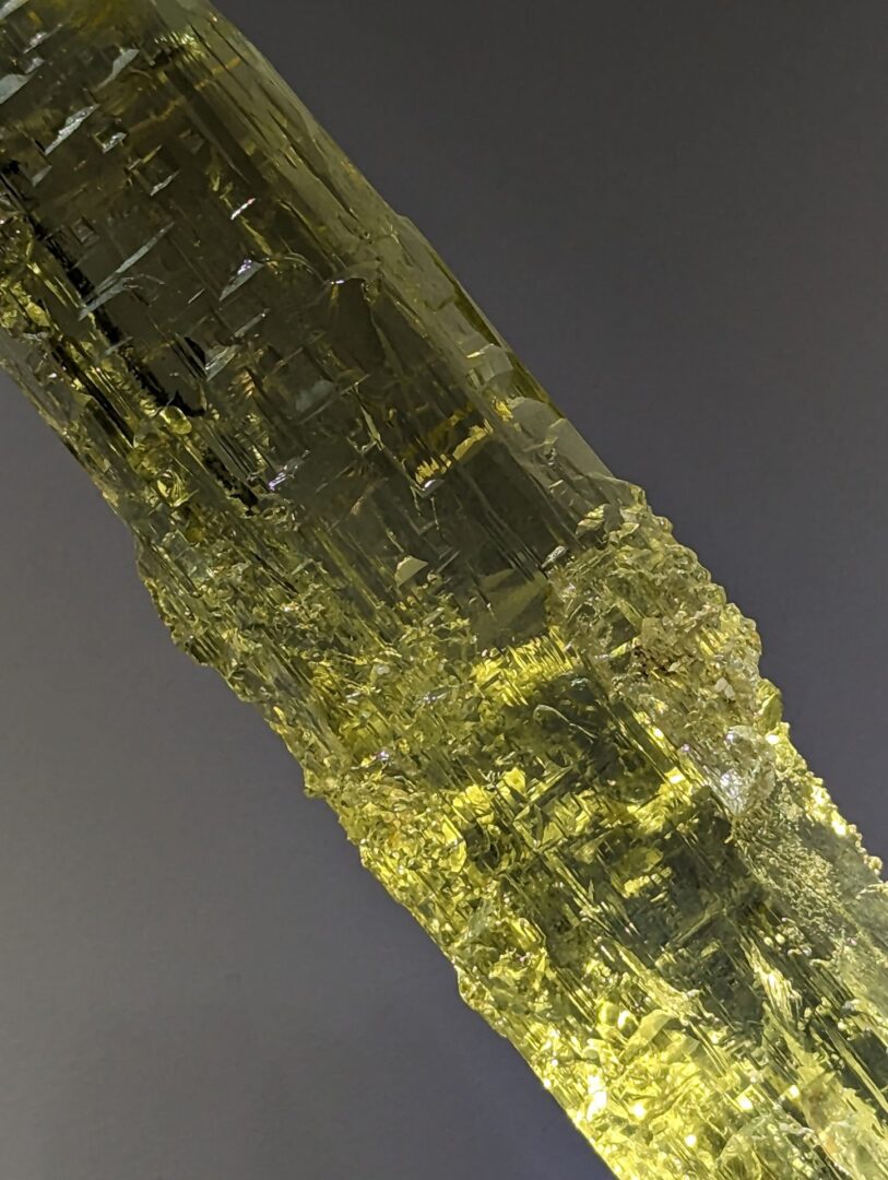 Here are 200+ photos taken with the Google Pixel 7 Pro