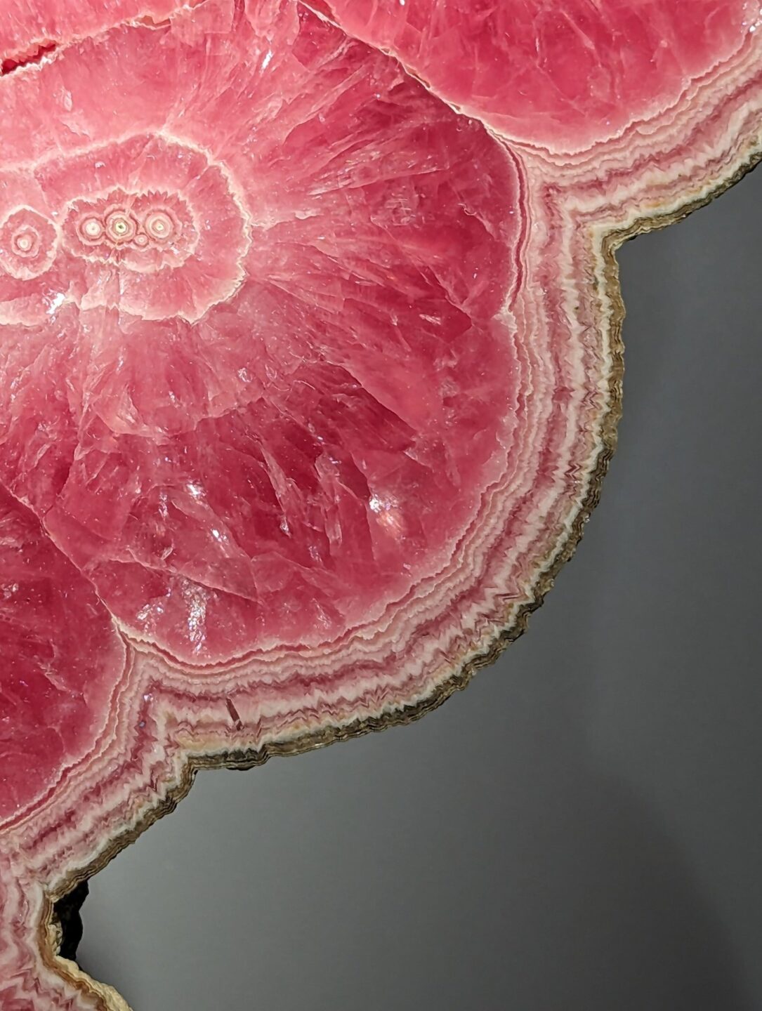 Here are 200+ photos taken with the Google Pixel 7 Pro