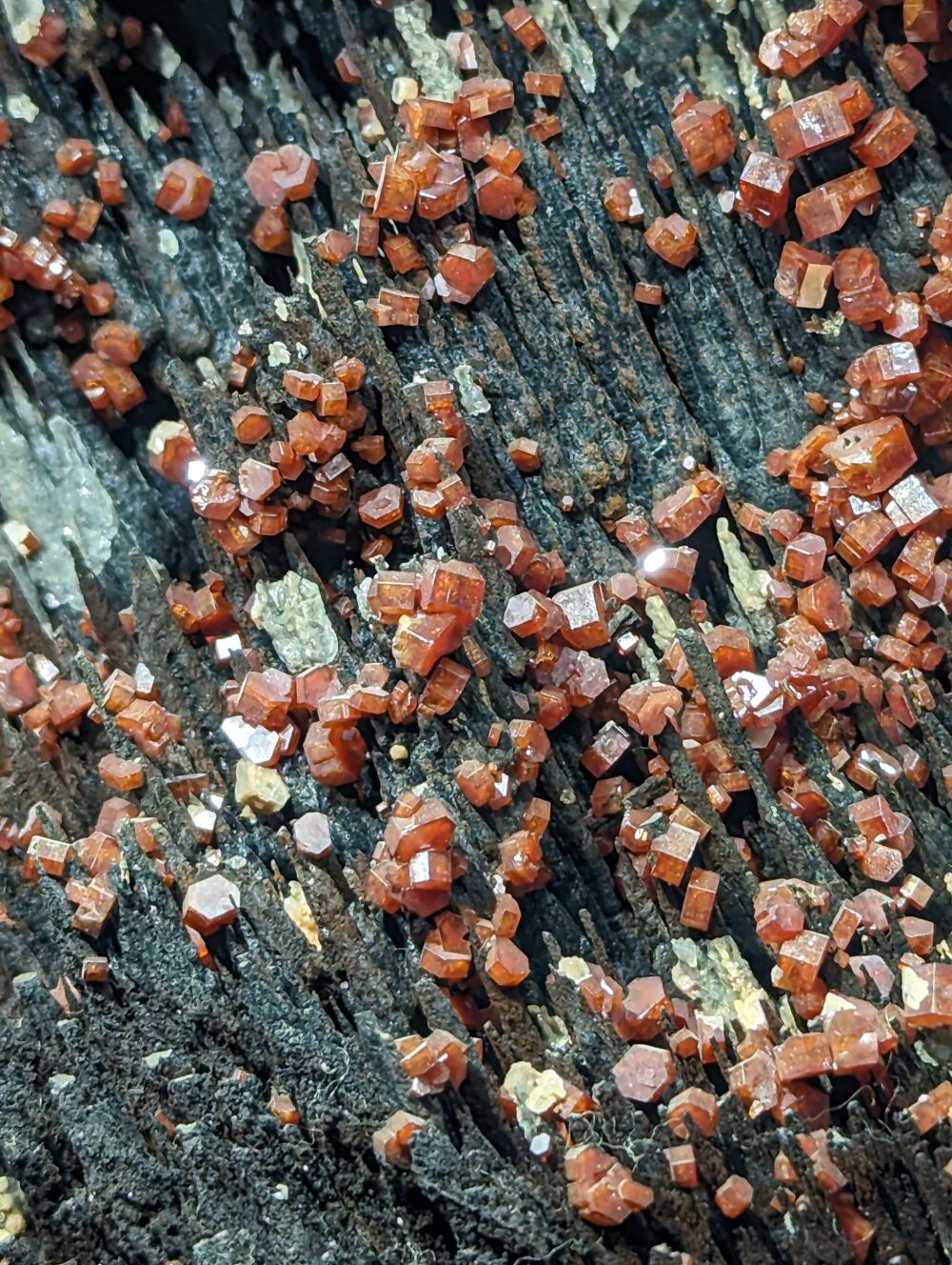 Here are 200+ photos taken with the Google Pixel 7 Pro