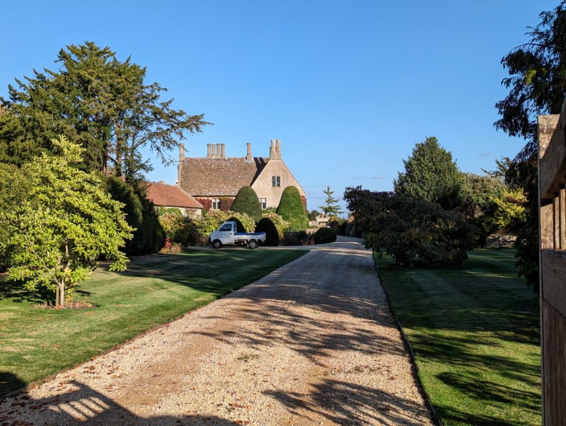 Google Pixel 7 review: A bargain that's impossible to beat