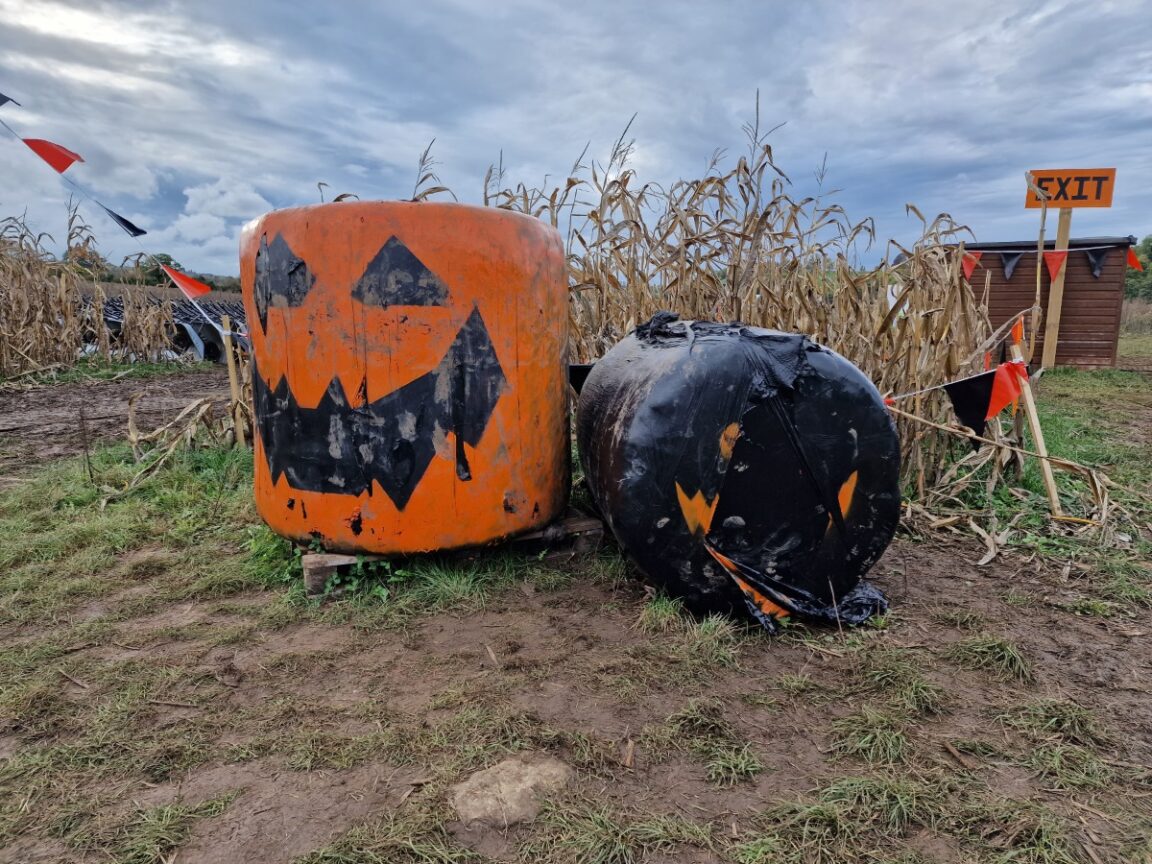 Camera shootout: Google Pixel 7 Pro vs Samsung Galaxy S22 Ultra