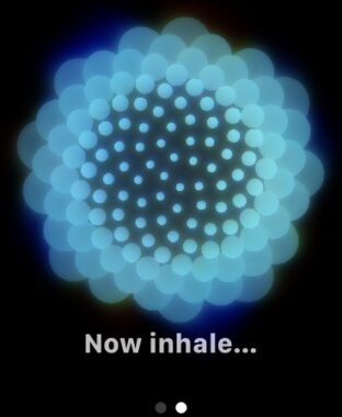 How to use the Apple Watch Mindfulness app - Android Authority