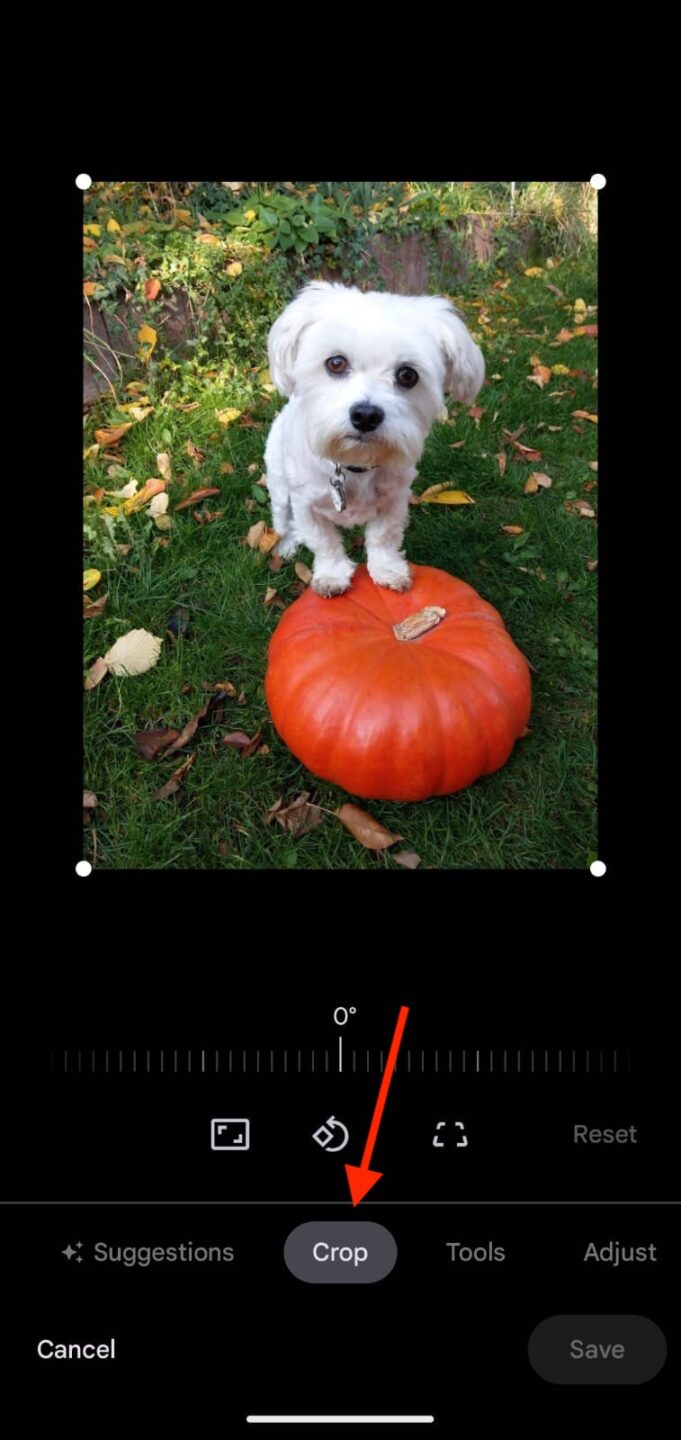 How to crop an image on any device - Android Authority