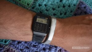 Irrational or not, I still want a screenless Fitbit Flex 3