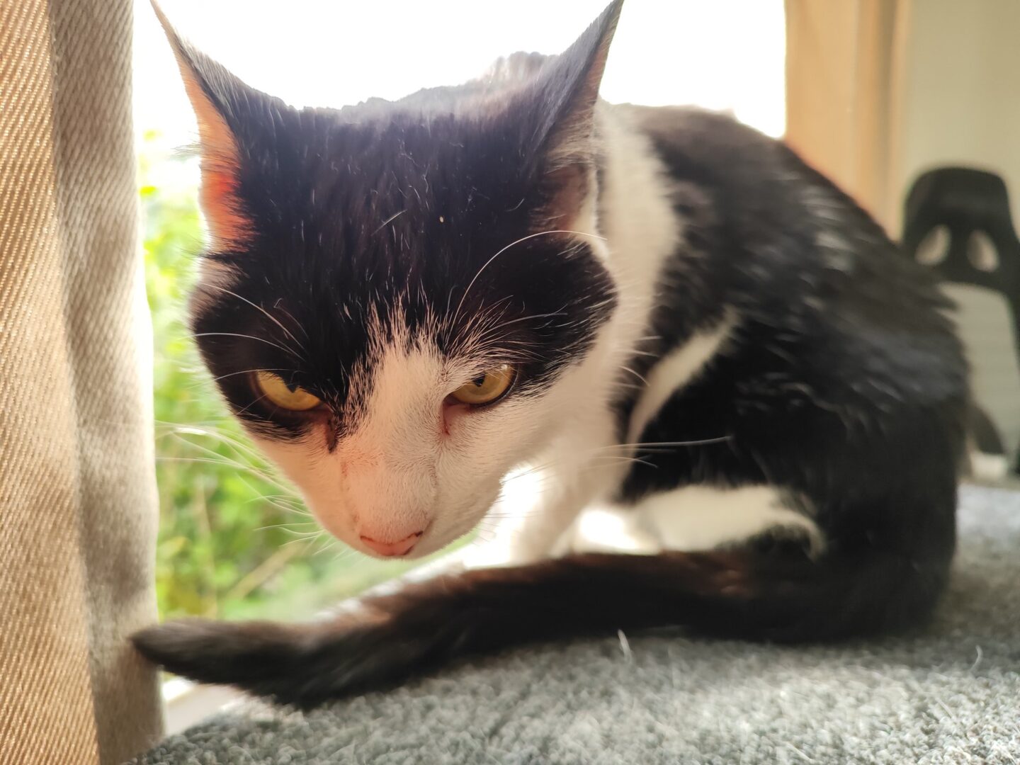 POCO X5 Pro review: Upping the budget ante - Android Authority