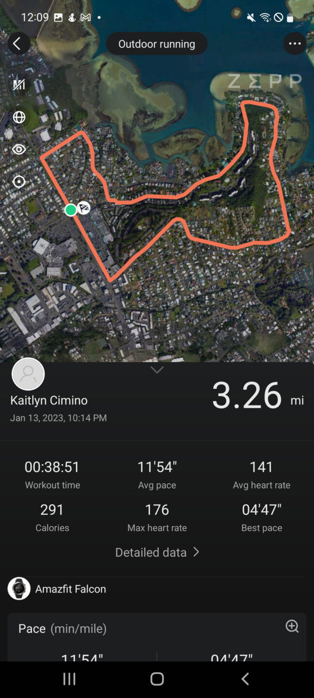 Amazfit Falcon review: FLIRting with premium territory - Android Authority