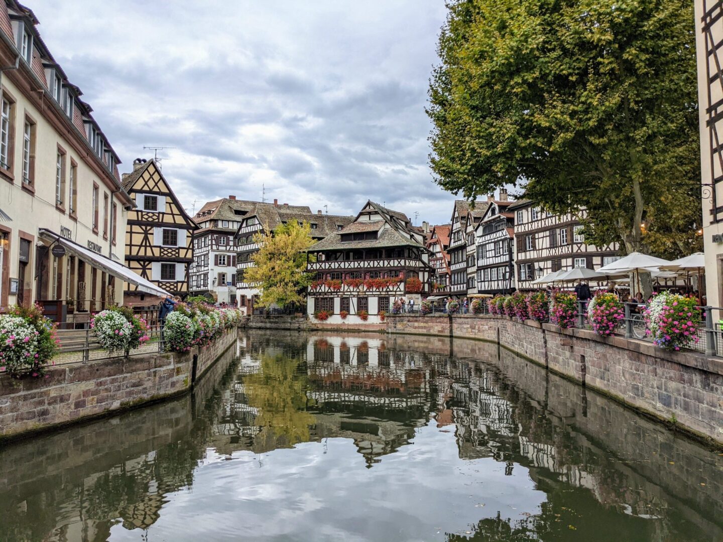 The Pixel 5 is the most underrated Pixel yet, and I wish it had a successor