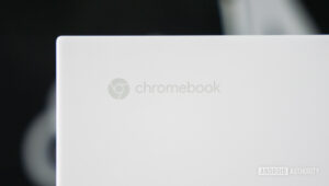 20 basic Chrome OS CROSH commands you should know