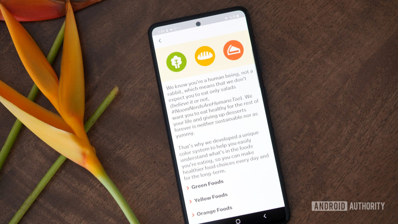 What is Noom? Everything you need to know - Android Authority