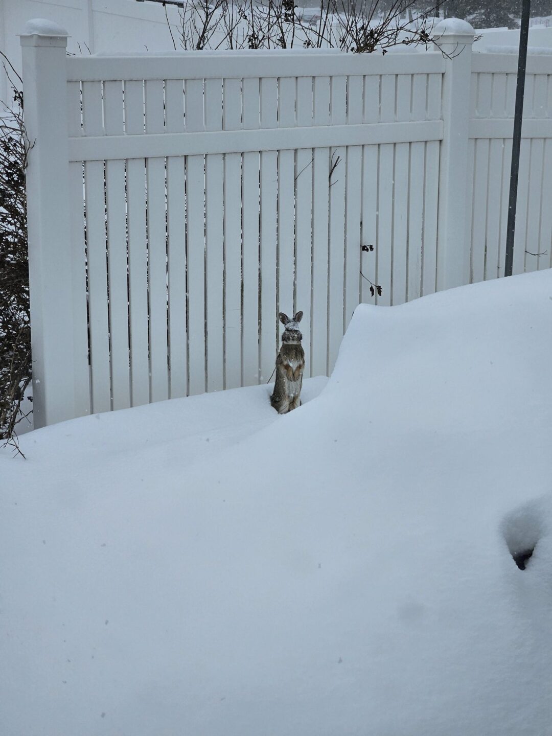 Samsung Galaxy S23 Plus review: This one is just right