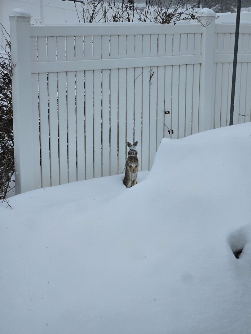 Samsung Galaxy S23 Plus review: This one is just right