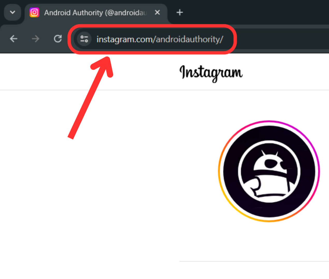 How to view Instagram posts and stories without an account