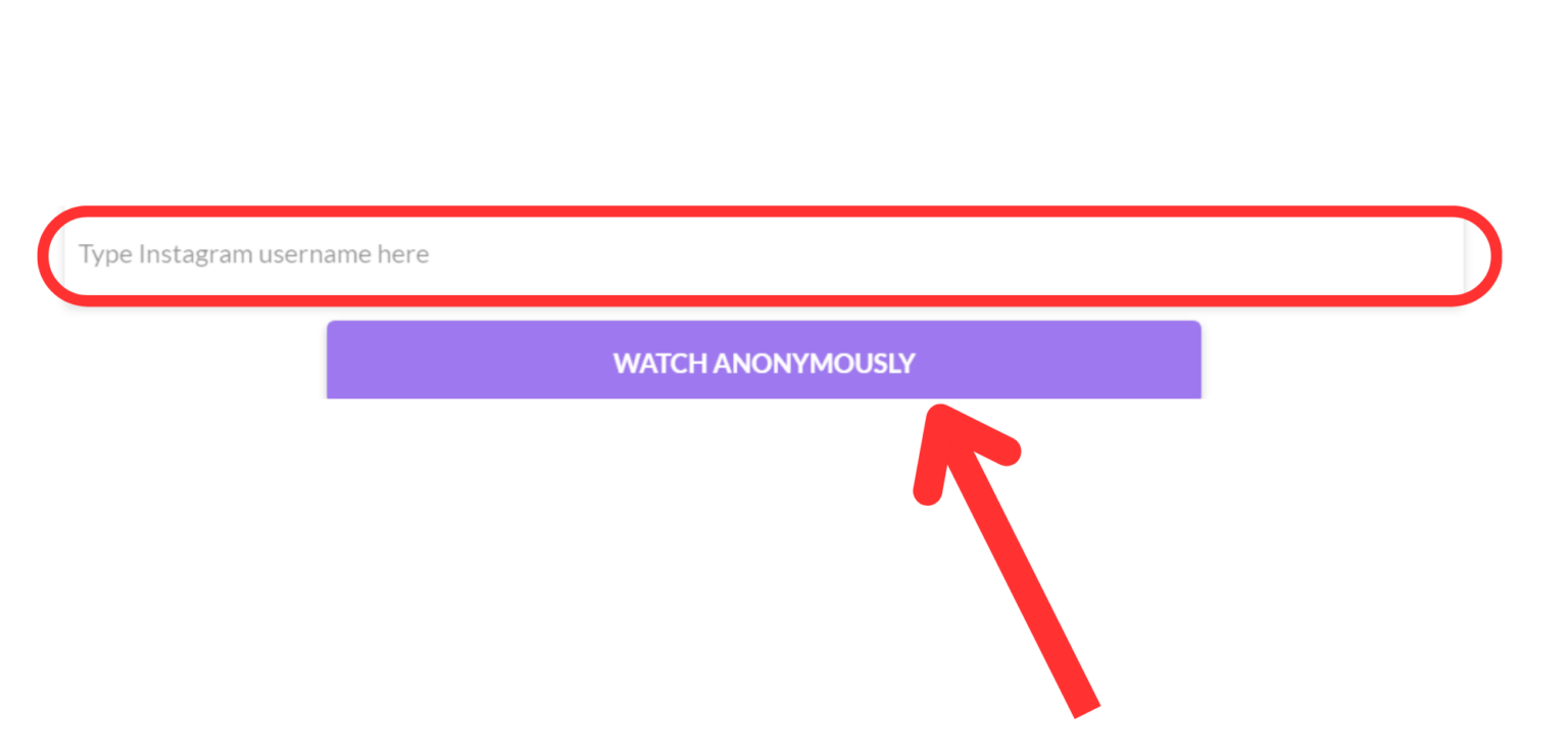 How to view Instagram posts and stories without an account