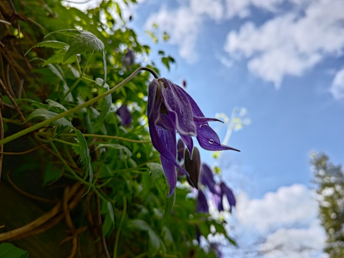 ASUS ROG Phone 7 review: The competitive edge - Android Authority