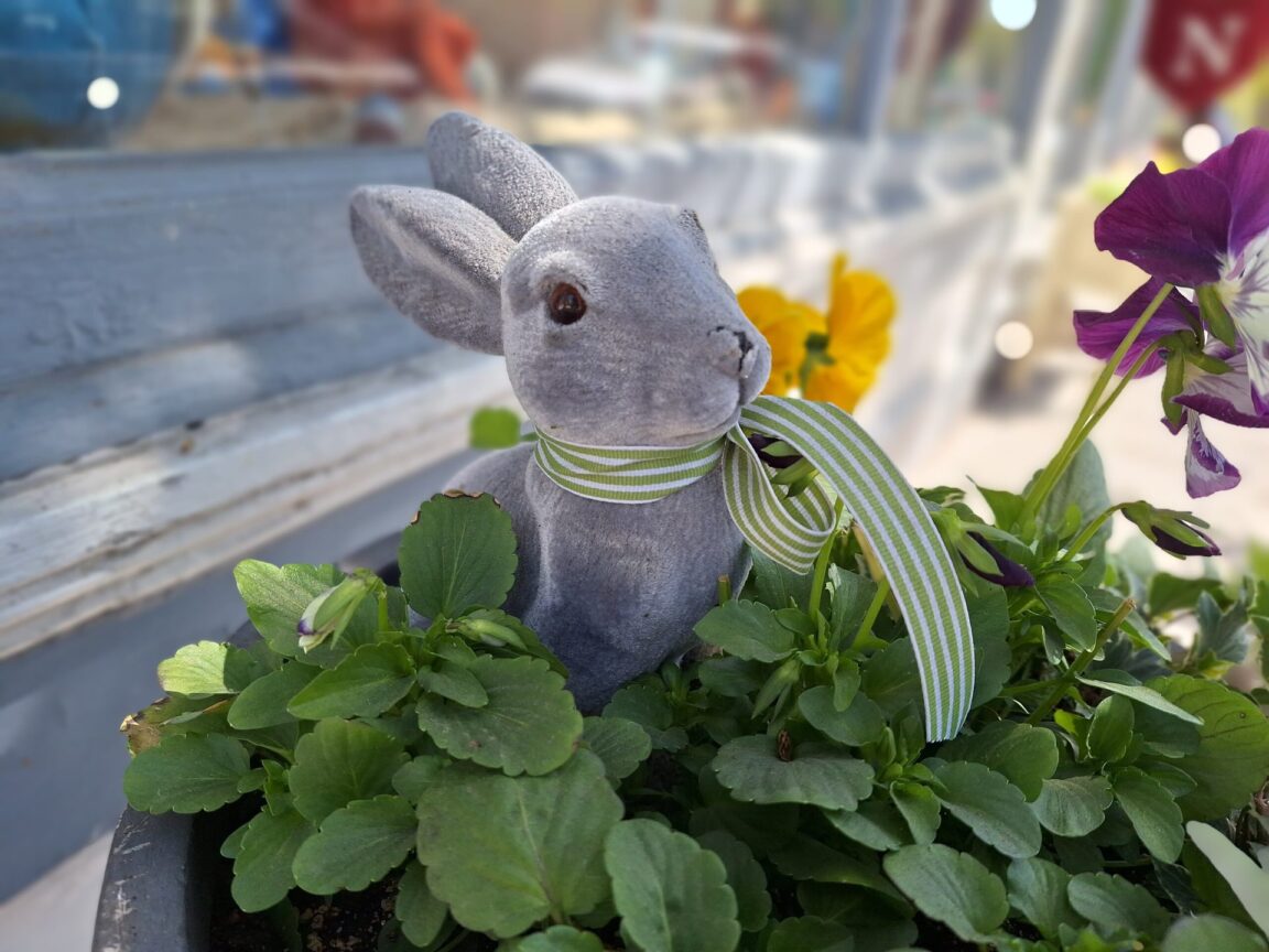 Samsung Galaxy A54 5G review: Who needs a Galaxy S23 FE?