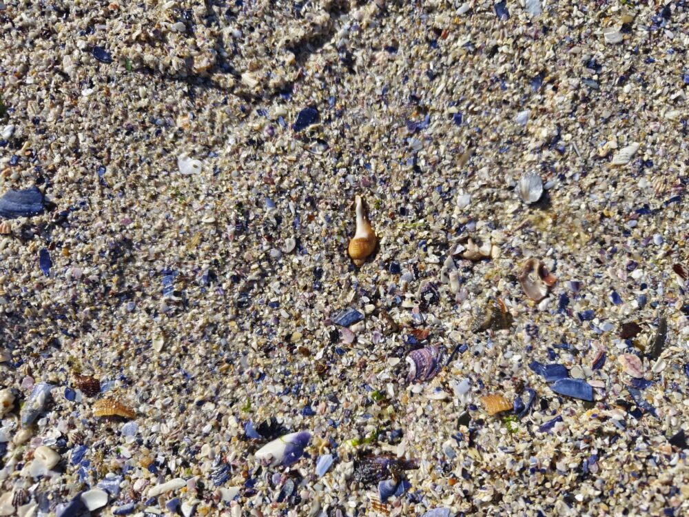 The Xiaomi 13 Ultra could solve a big issue with one-inch cameras