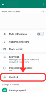 How to use the WhatsApp Chat Lock feature - Android Authority