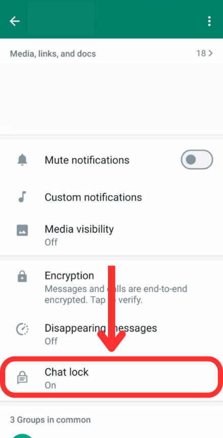 How to use the WhatsApp Chat Lock feature - Android Authority