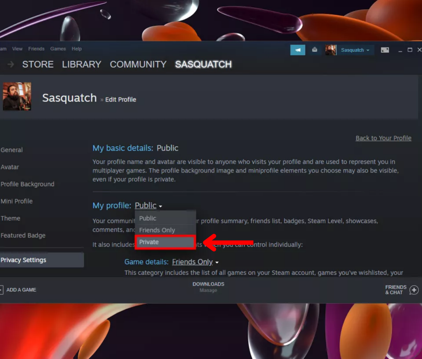 How to hide Steam games and profile activity - Android Authority