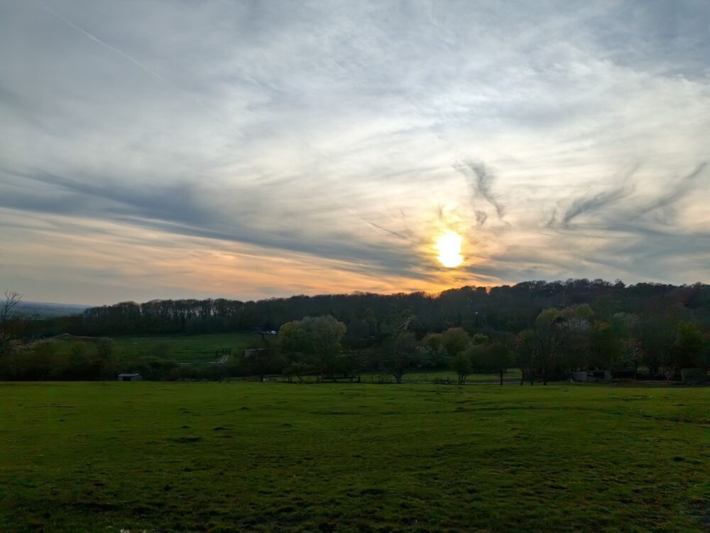 Huawei P60 Pro review: The best camera phone in the business?