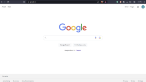 DuckDuckGo vs Google: Which search engine reigns supreme?