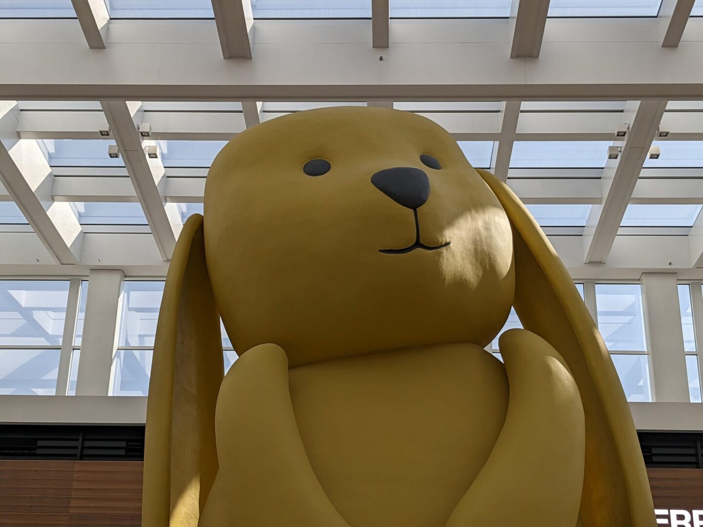 Google Pixel 7a camera shootout: Pixel 6a and Pixel 7 gallery comparison