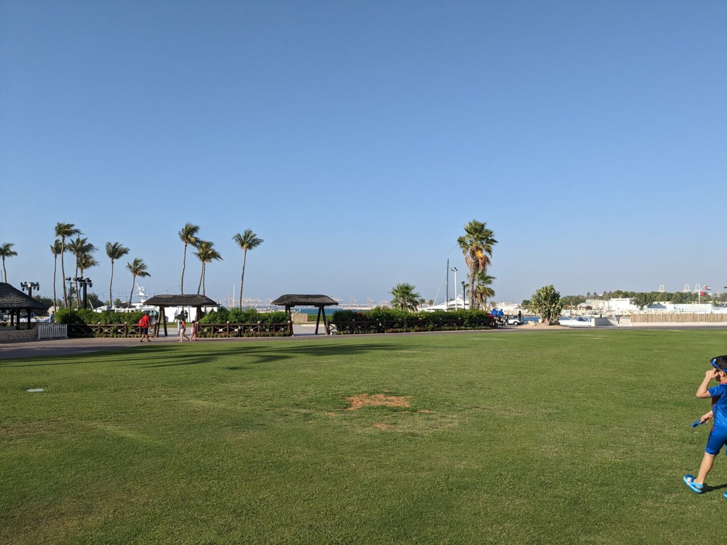 Google Pixel 7a camera shootout: Pixel 6a and Pixel 7 gallery comparison