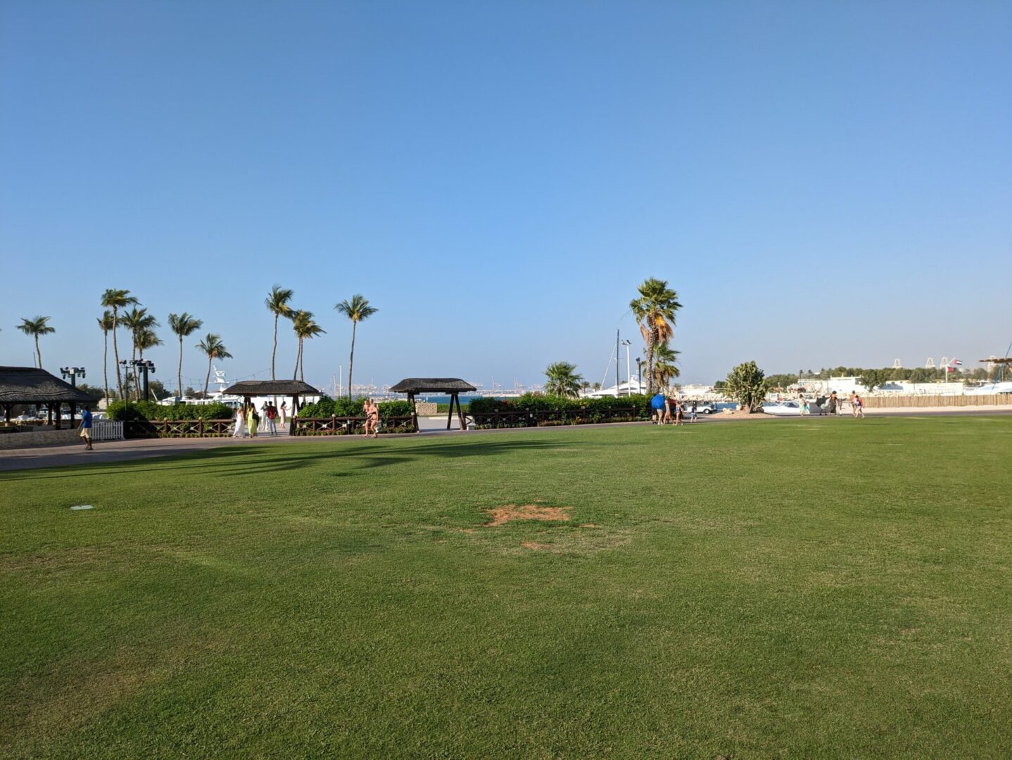 Google Pixel 7a camera shootout: Pixel 6a and Pixel 7 gallery comparison