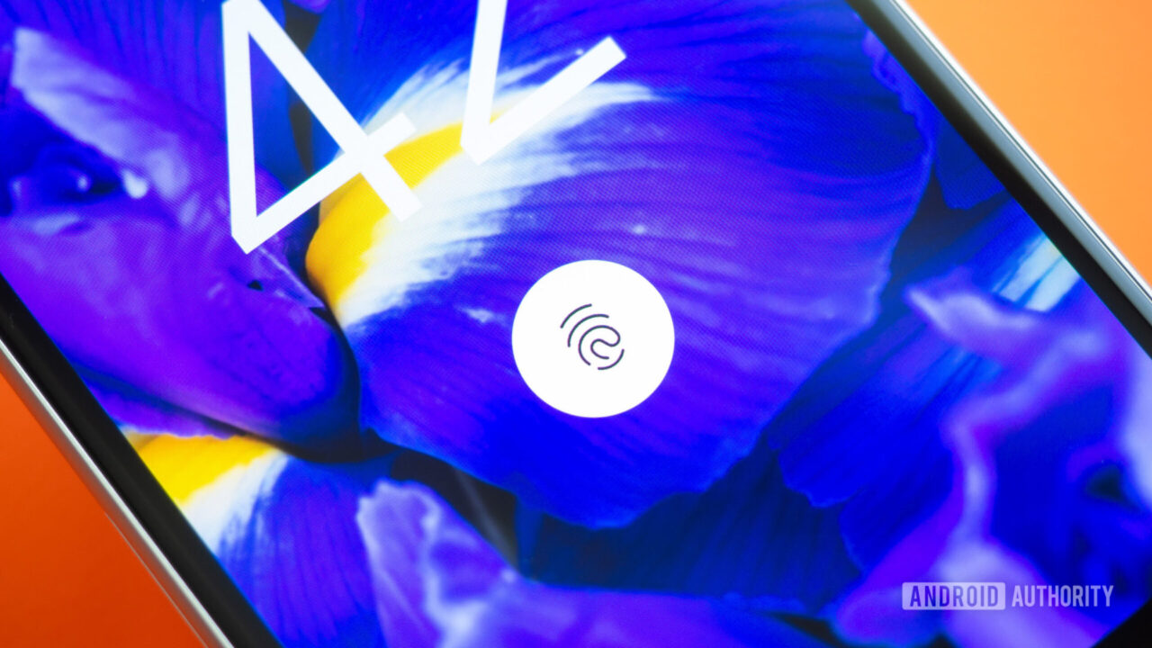 Pixel 9 ultrasonic fingerprint scanner is Google's most advanced yet ...