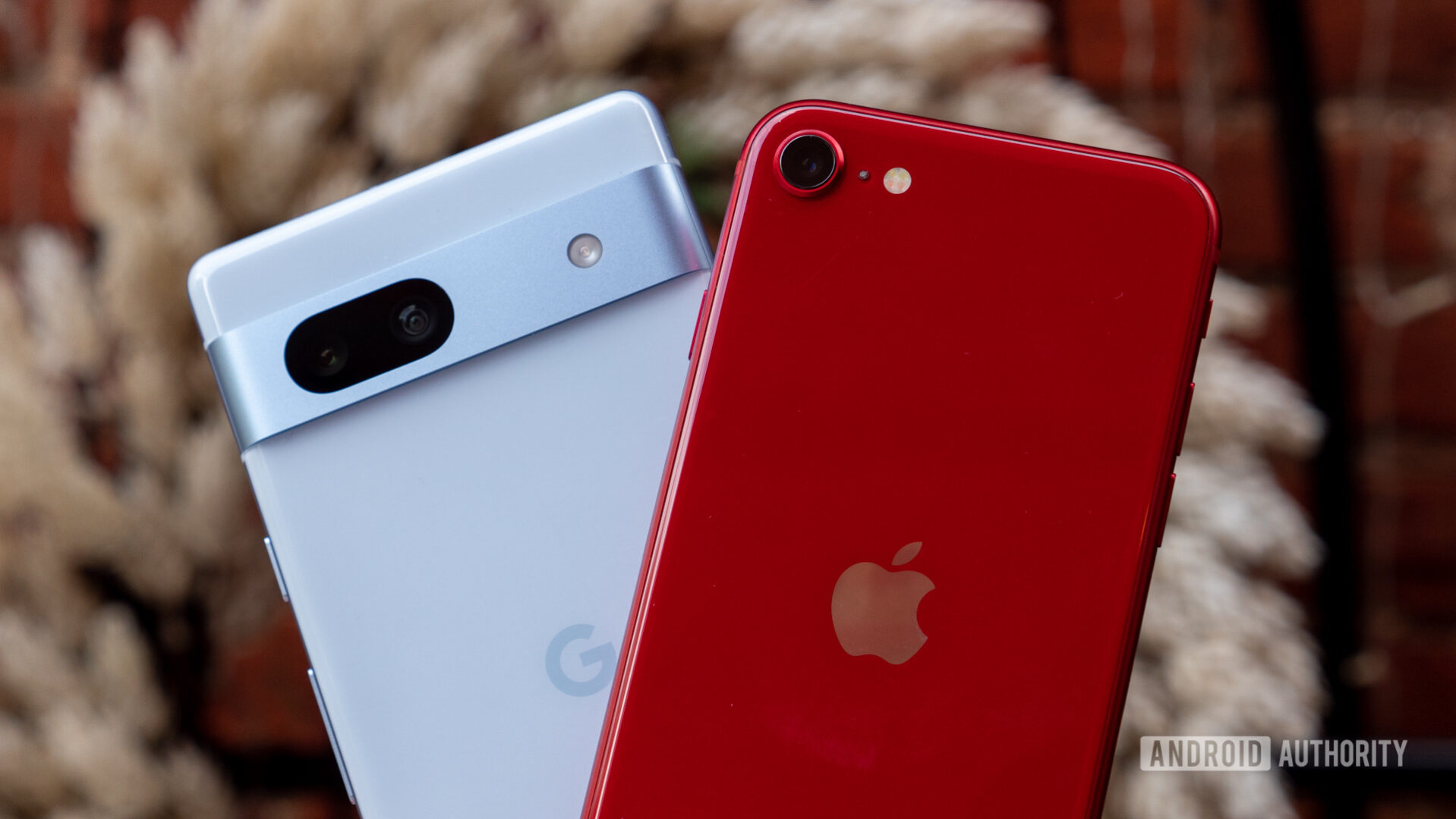 Free phone service: what is the best free government phone program?