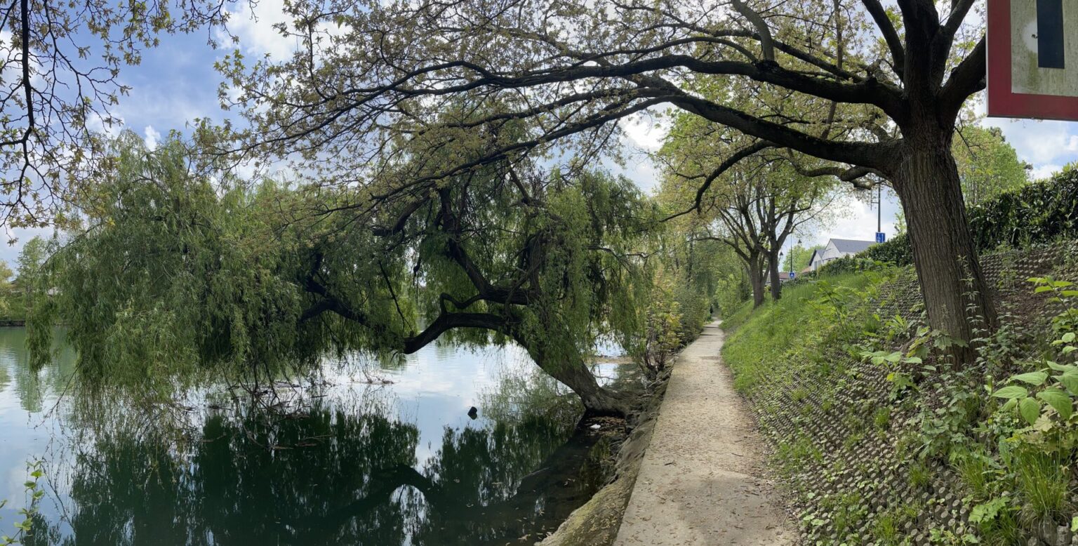 The Pixel 7 Pro's panorama mode is still so far behind the iPhone ...
