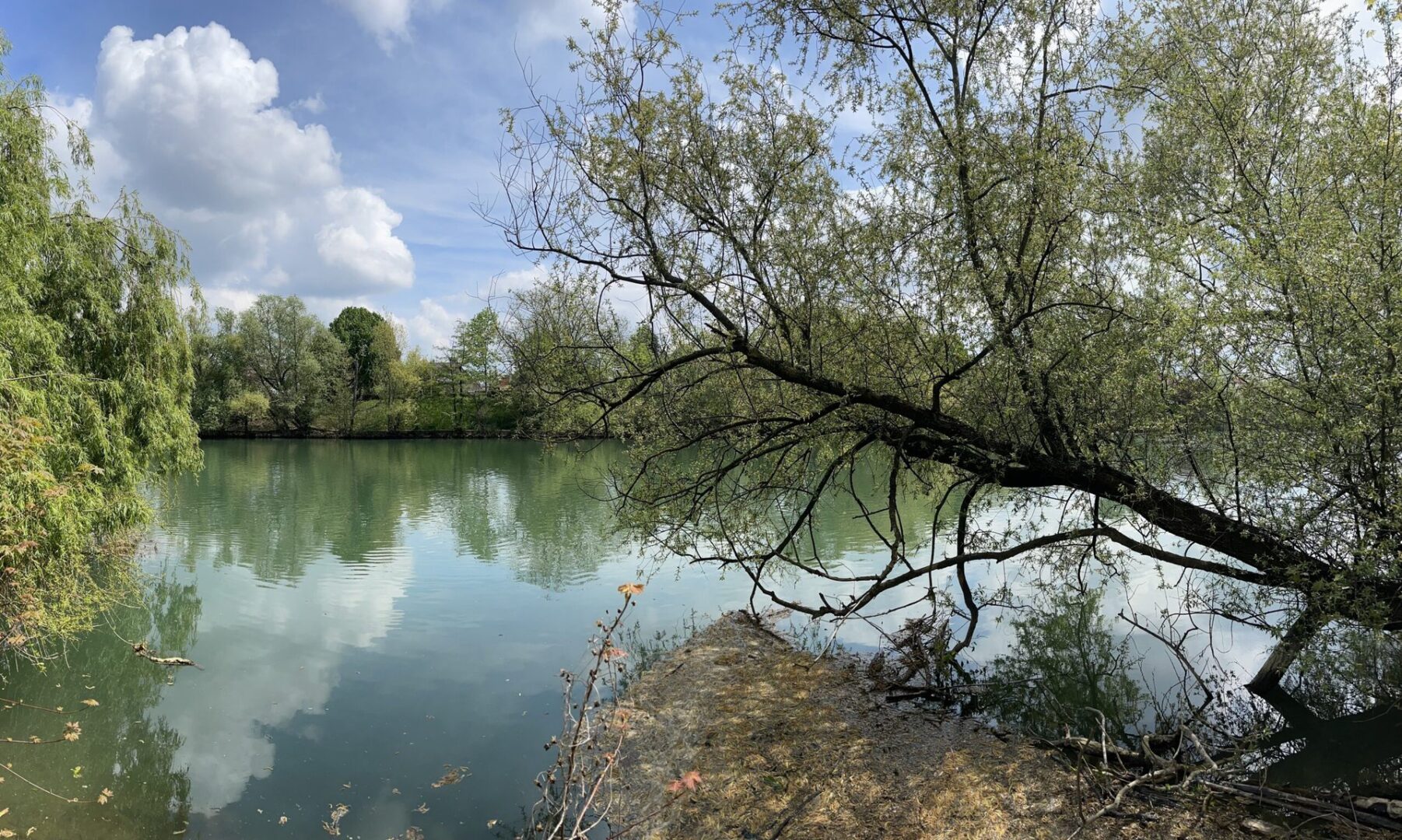 The Pixel 7 Pro's panorama mode is still so far behind the iPhone ...