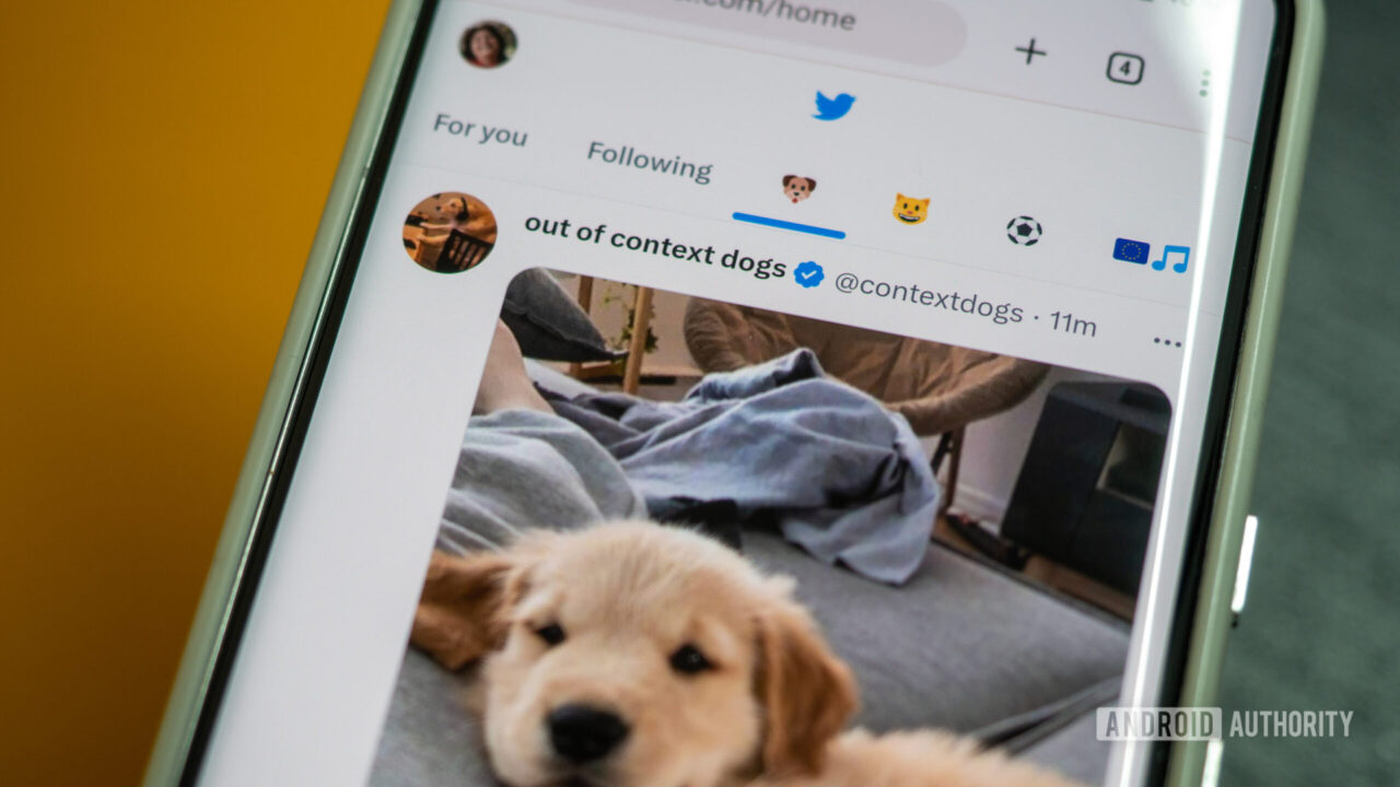 Twitter imposes daily limit on number of posts users can see