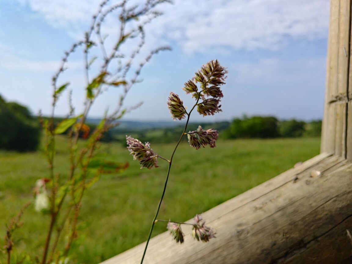 ASUS Zenfone 10 review: Should you buy it? - Android Authority