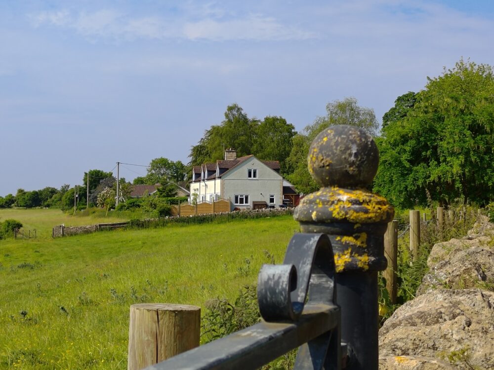 ASUS Zenfone 10 review: Should you buy it? - Android Authority