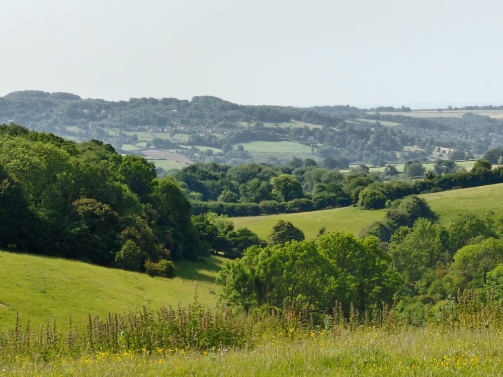 ASUS Zenfone 10 review: Should you buy it? - Android Authority