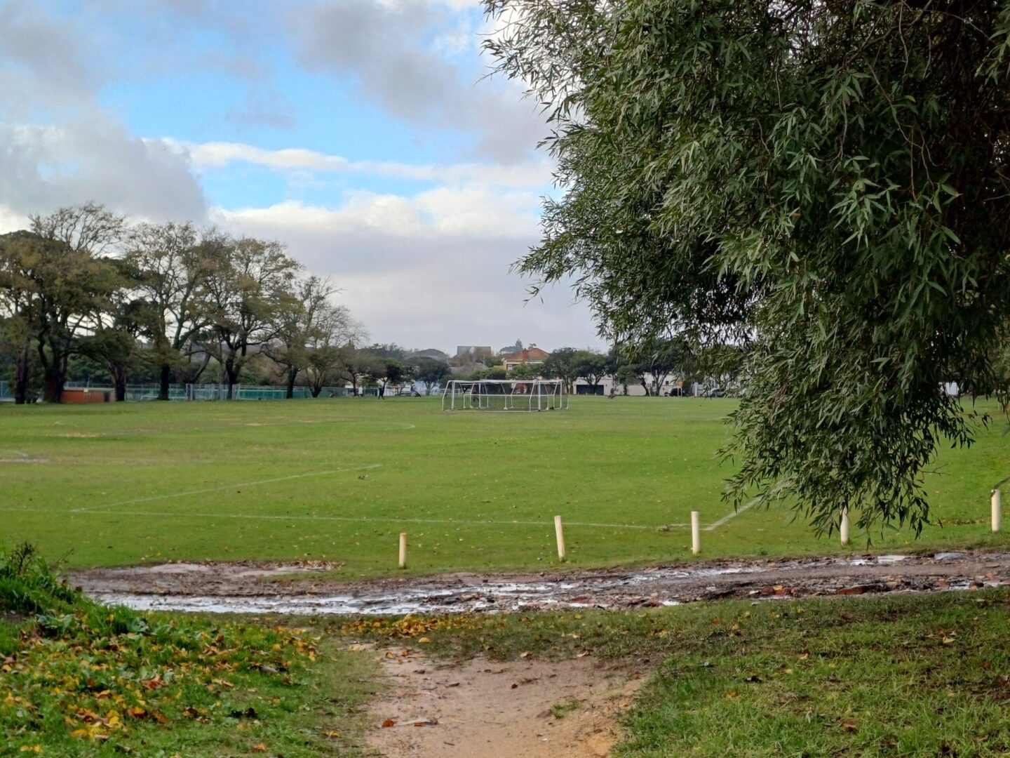 Samsung Galaxy A34 5G review: Should you buy it?