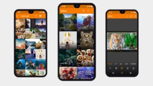 Simple Gallery Pro is a free and open source gallery app