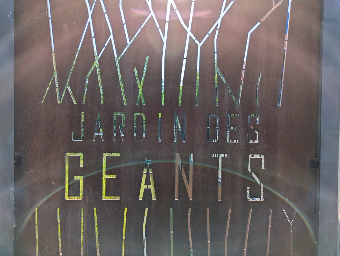 Poll: Does your Pixel or other phone show lens flare in photos?